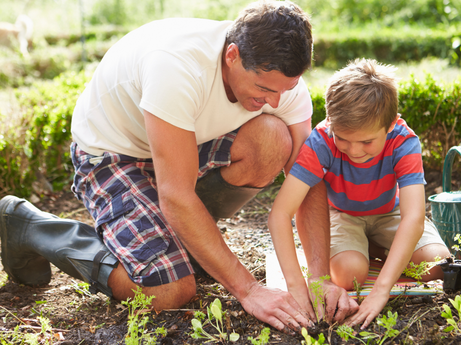 Dad Projects | Eden Gardens