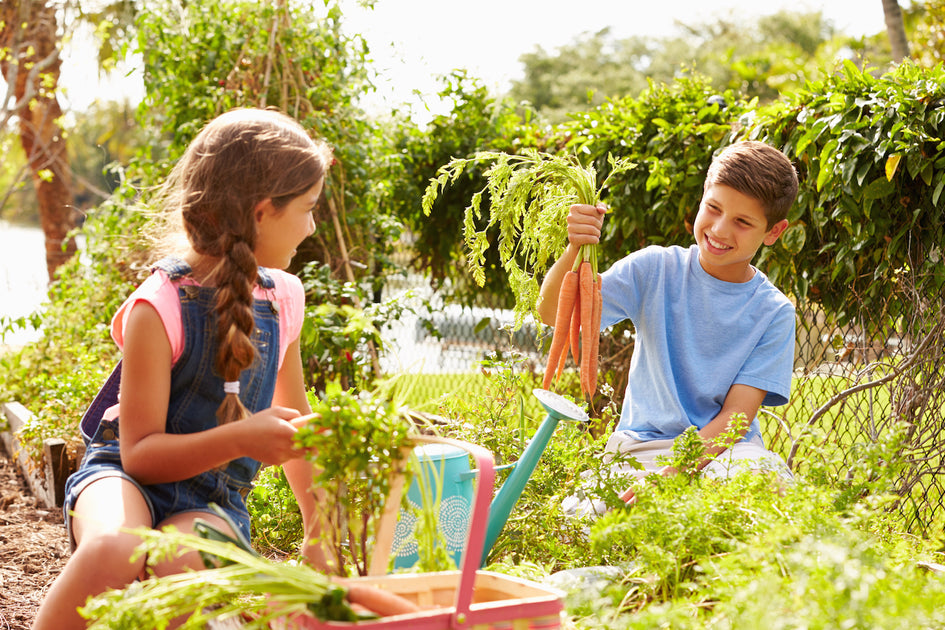 Promoting Plants to Kids and Creating Learning Landscapes– Eden Gardens